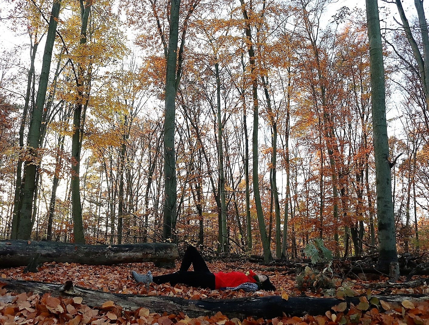 It’s a Double V! Volunteers on Vacation – Leimalem Konsam, Outbound Participant, Germany – FSL BLOG