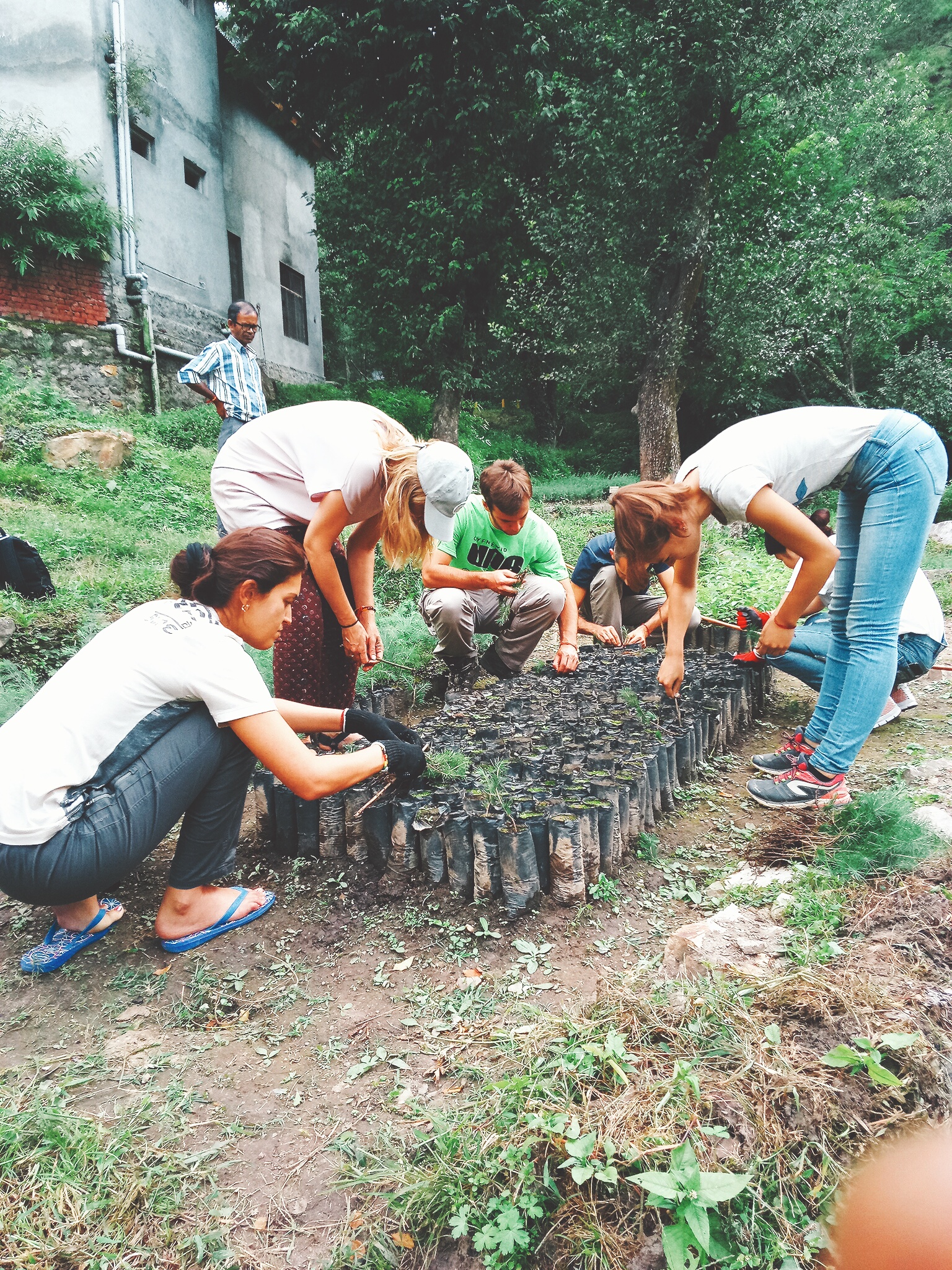 World Heritage Volunteers’ Camp – Natural Heritage Conservation at ‘The ...