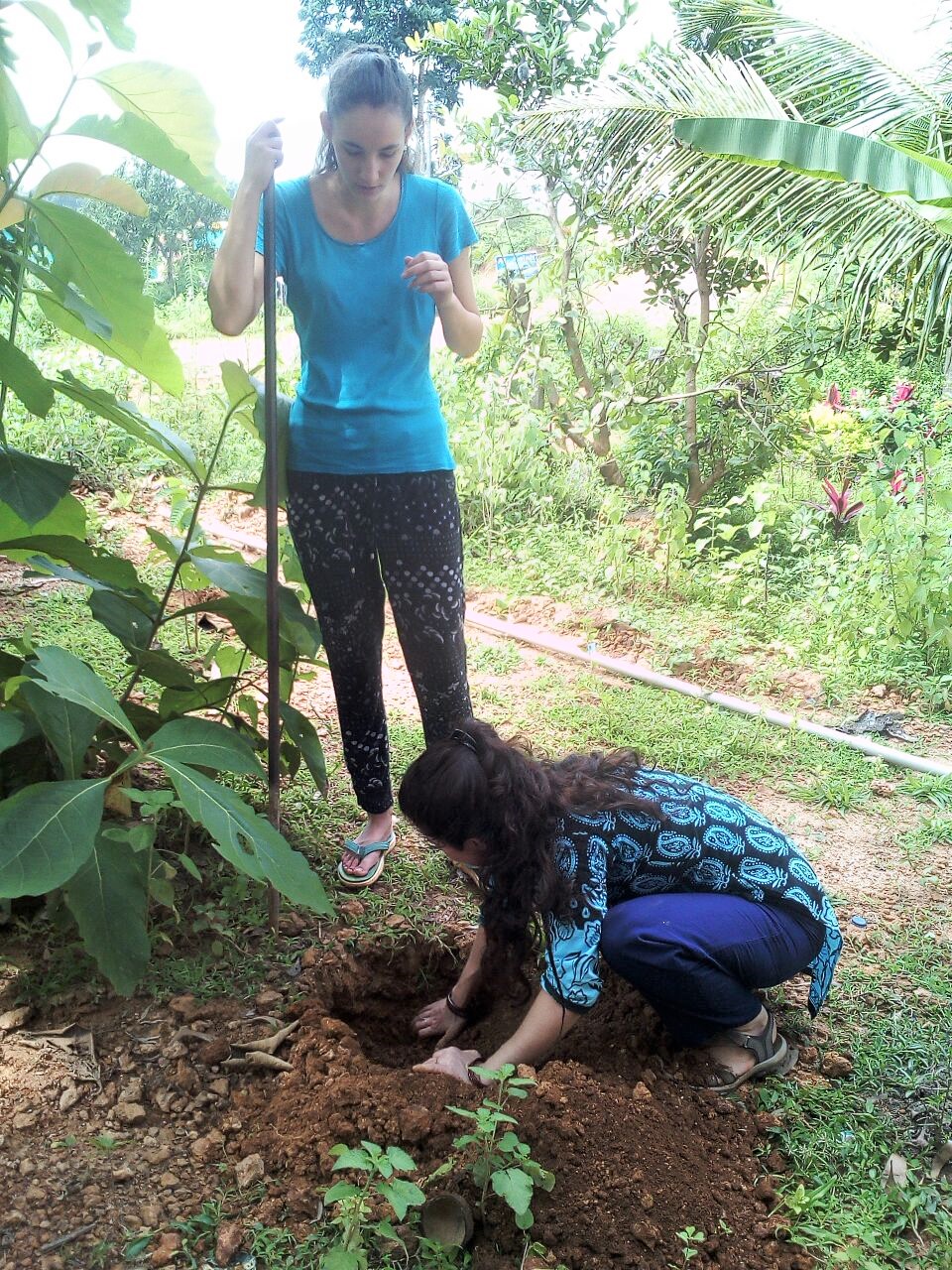 Tree plantation in community through Trees for India! – FSL BLOG