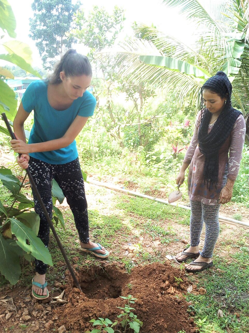 Tree plantation in community through Trees for India! – FSL BLOG