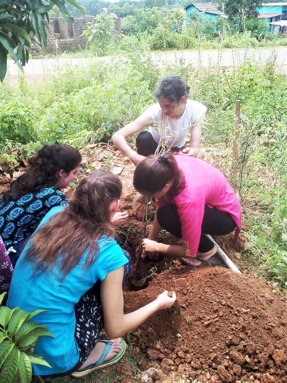 Tree plantation in community through Trees for India! – FSL BLOG