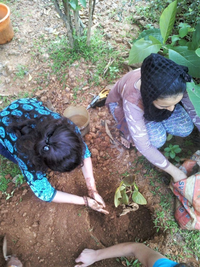 Tree plantation in community through Trees for India! – FSL BLOG